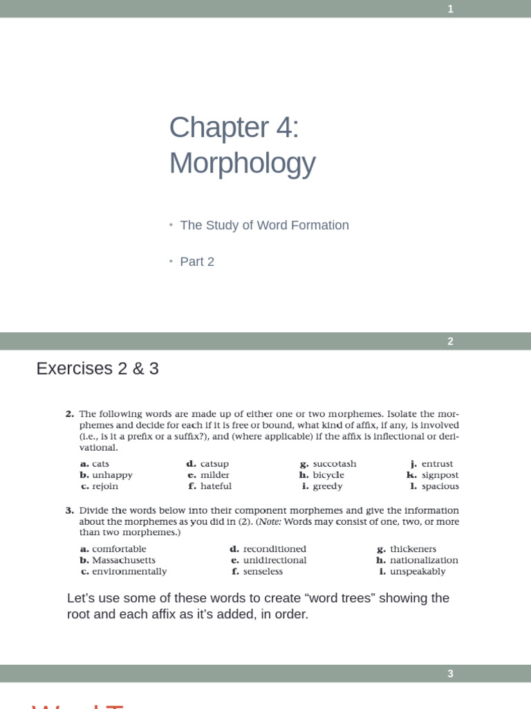 Morphology 2 | PDF | Morphology (Linguistics) | Word