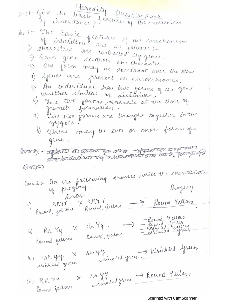 Heredity Question/answer Class 10 | PDF