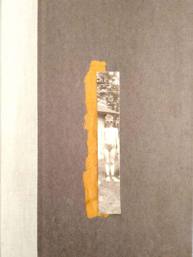 Anne Carson-Nox (Inglés) | PDF