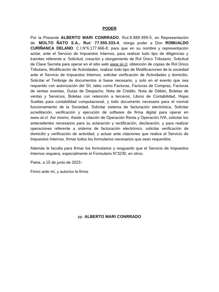 Modelo Poder Sii | PDF