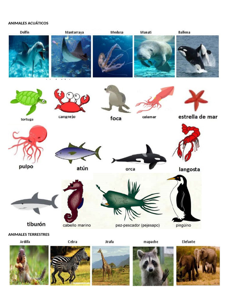 Animales Acuáticos | PDF