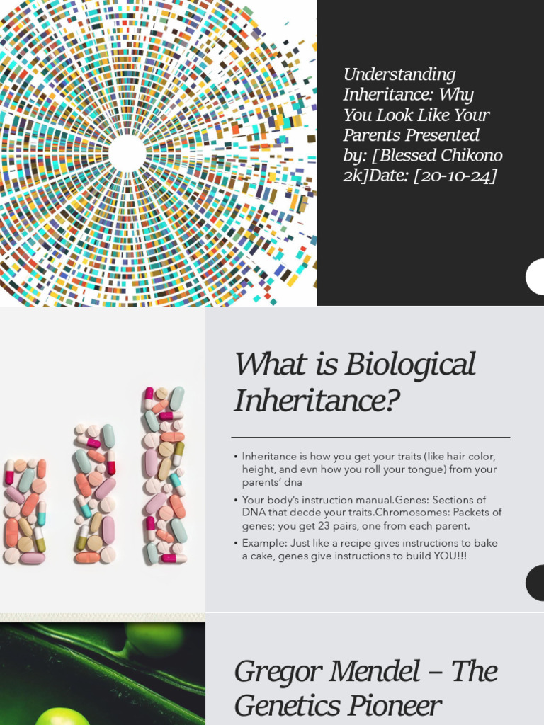 Blessed Chikono & Megan Chenjerai 2k. Inheritance Presentation. | PDF ...