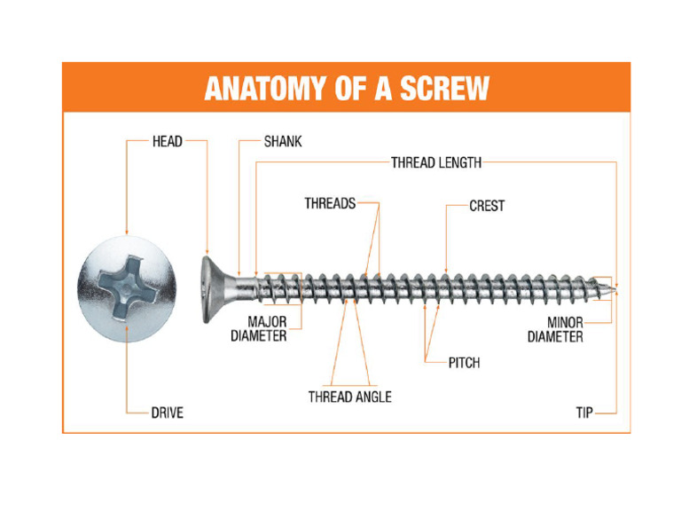 Screw Print | PDF