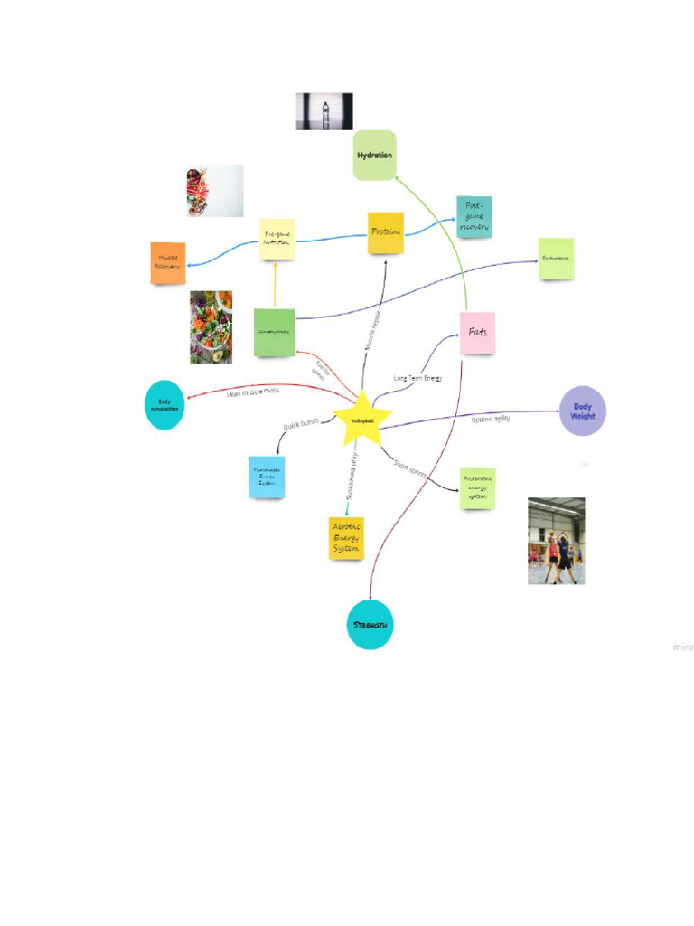 Nutrition Concept Map | PDF