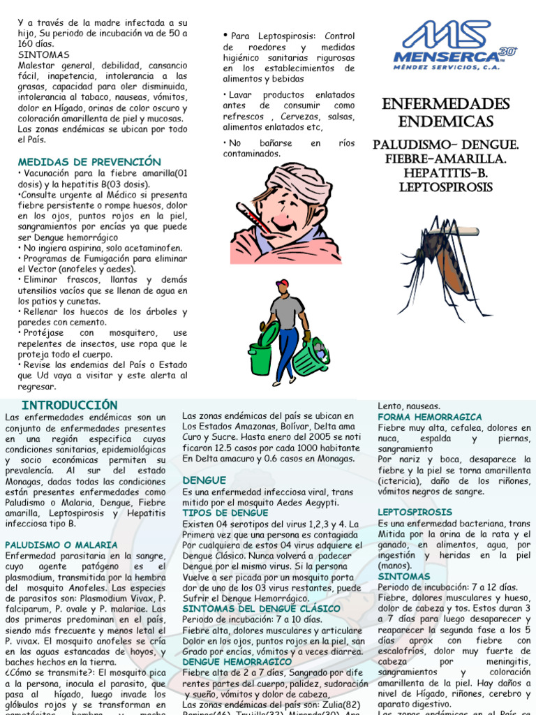 Triptico Enfermedades Endemicas | PDF | Malaria | Epidemiología