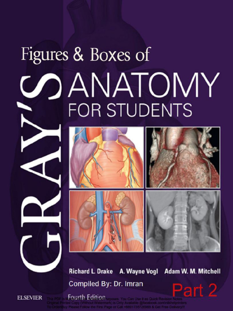 Figures & Boxes of Gray's Anatomy For Students (4th Edition) - Part 2 ...