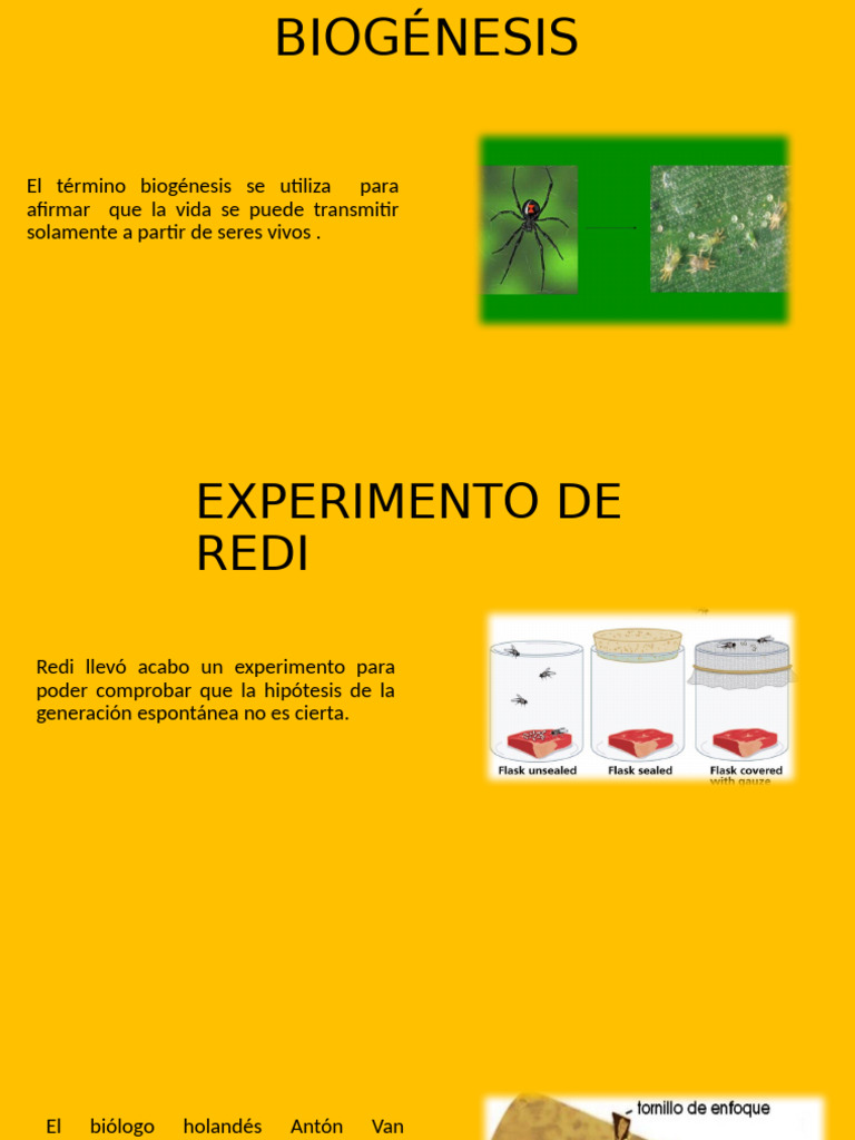 BIOGÉNESIS y Exogenesis | PDF | Ciencia y matemáticas