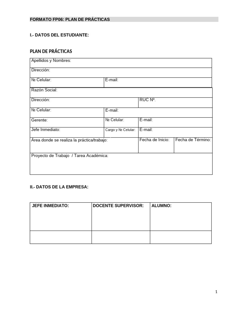 Modelo de Plan de Practicas | PDF | Business