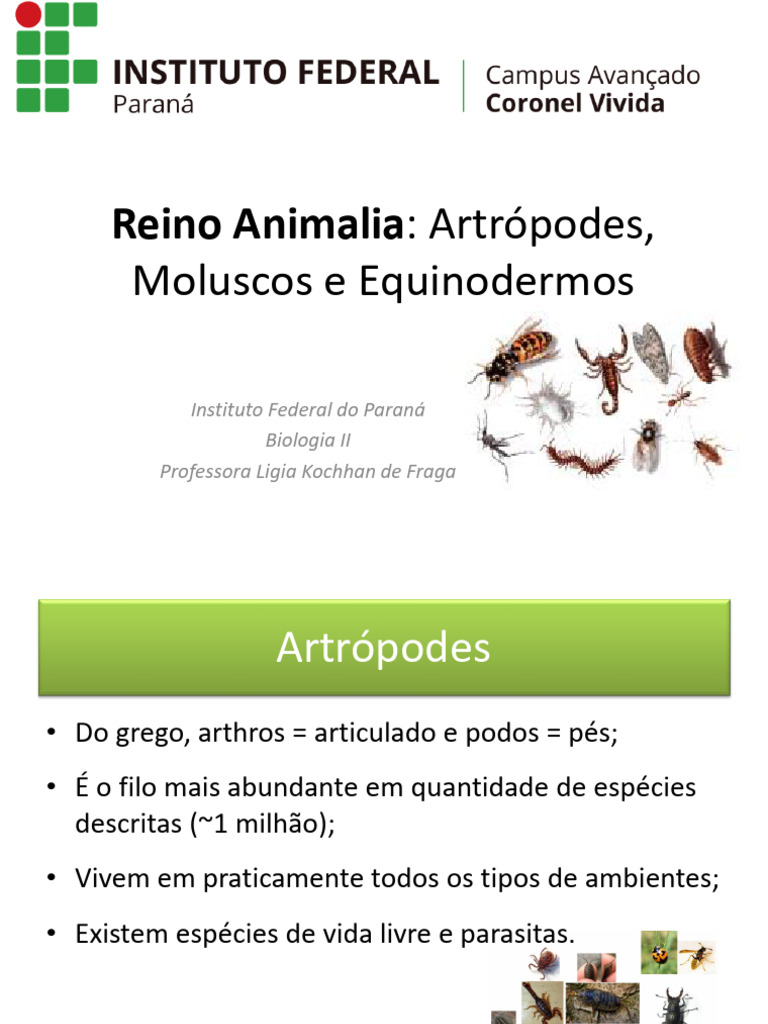 Artropodes, Equinodermos e Moluscos | PDF | Moluscos