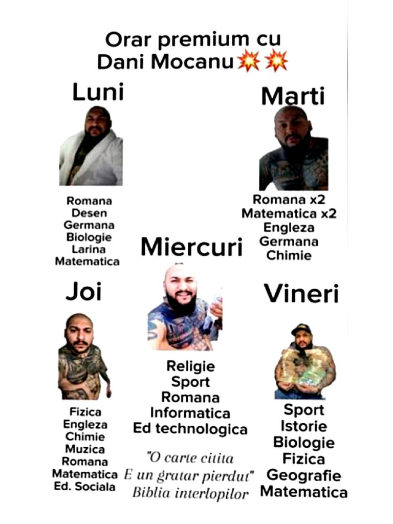 Dani Mocanu | PDF