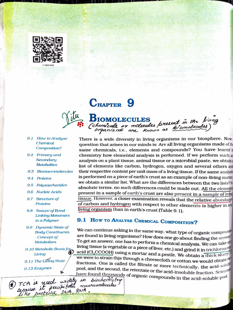 Biomolecules - Full Chapter | PDF