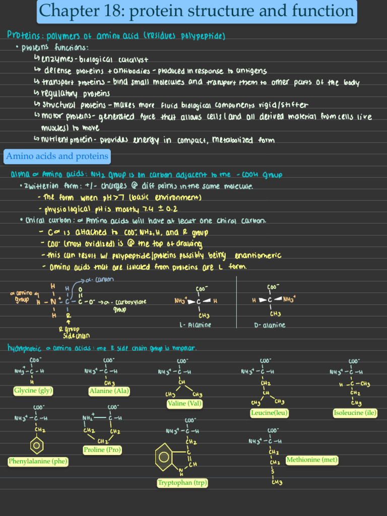 Protein Structure and Function Overview | PDF | Amino Acid | Proteins