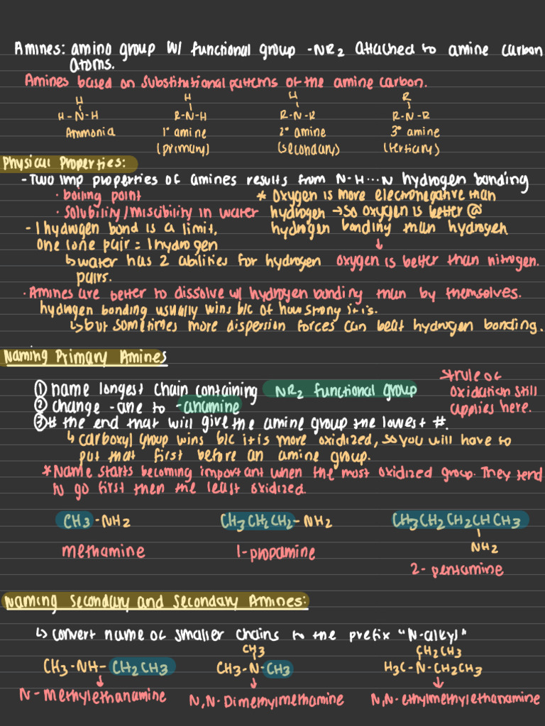 Chapter 15 Amines Organic Biochemistry Notes | PDF | Amine | Amide