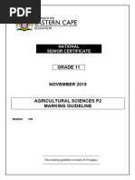 Life Science Grade 11 Term 3 Notes | PDF | Kidney | Urine