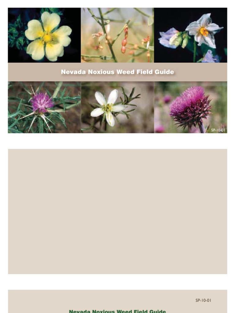 Nevada Noxious Weed Field Guide | PDF | Weed | Leaf