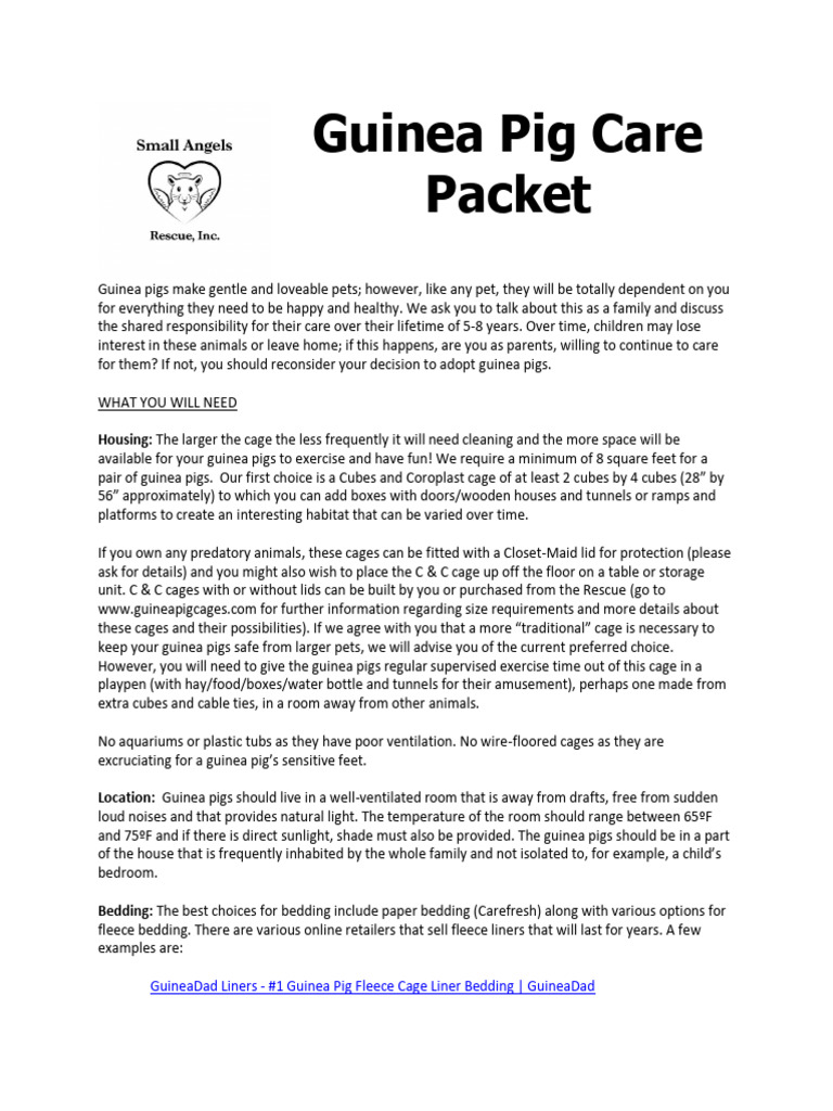 Guinea Pig Care Packet 2023 2 | PDF | Hay | Guinea Pig