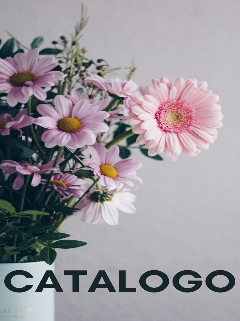 Catalogo 02 | PDF