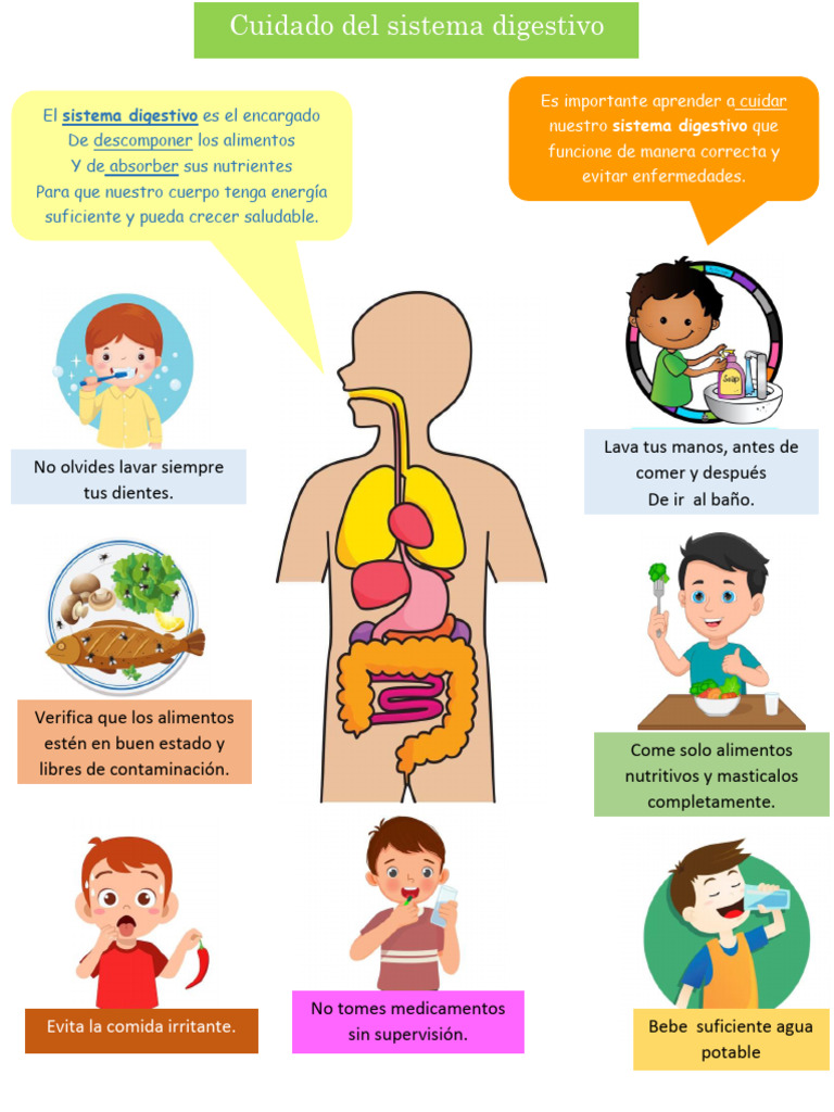 Cuida tu Digestión: Consejos Clave | PDF