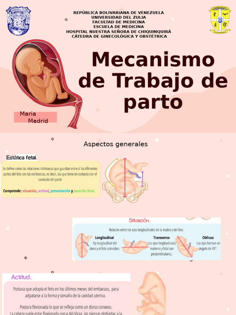 mecanismo de trabajo de parto | PDF