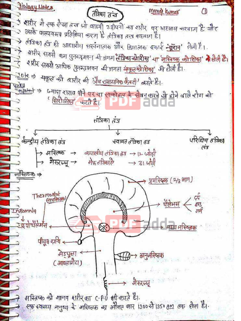 Biology Science Handwritten Notes 1 | PDF