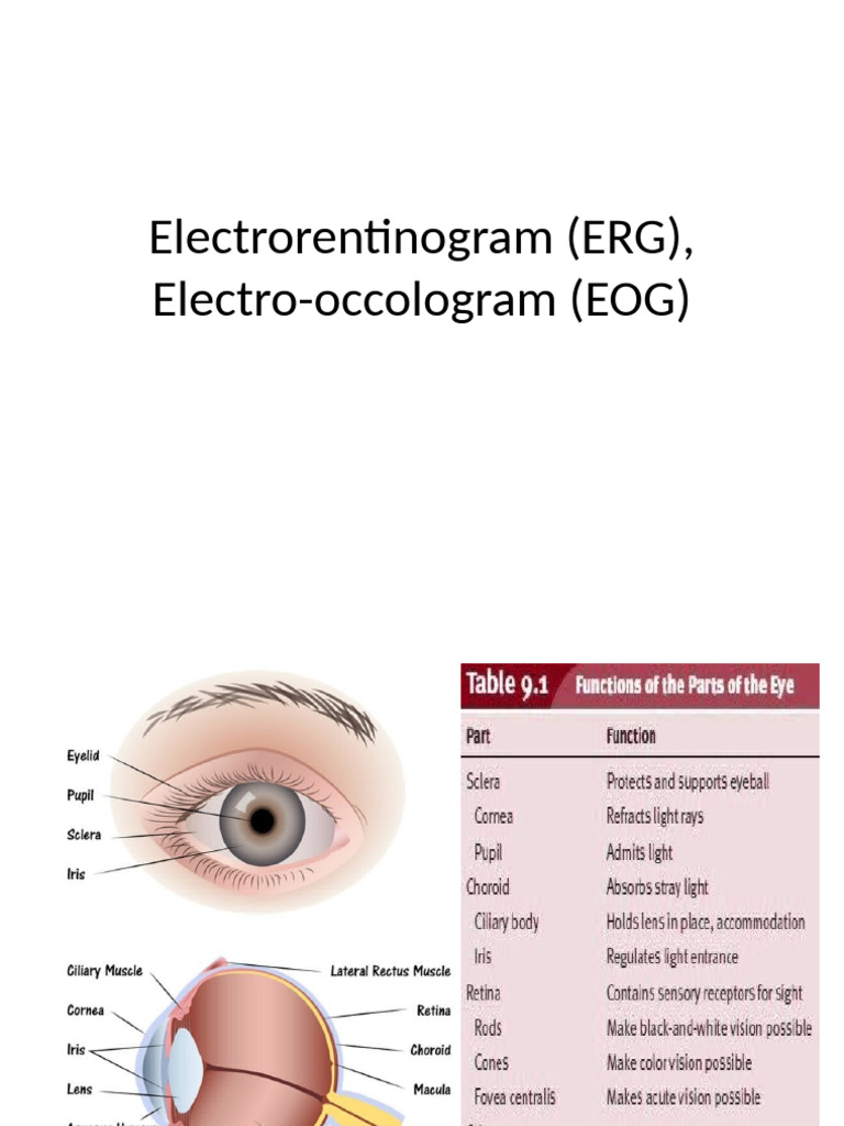 3 Electrorentinogram (ERG), Electro-Occologram (EOG) | PDF | Retina | Medical Specialties