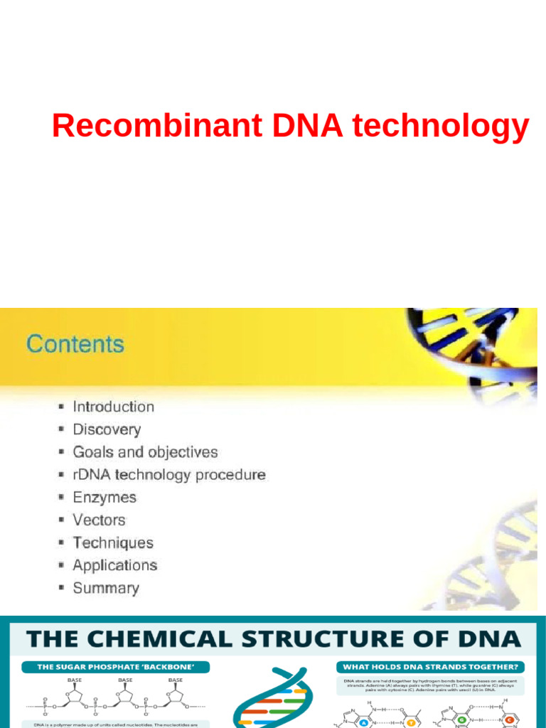 6 rDNA Technology | PDF | Recombinant Dna | Molecular Cloning