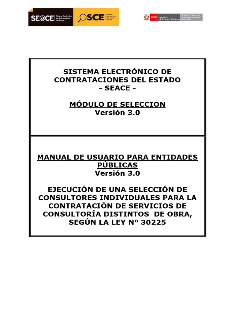 Ejecución Selección Consultores Individuales Serv Consultoria | PDF | Informática