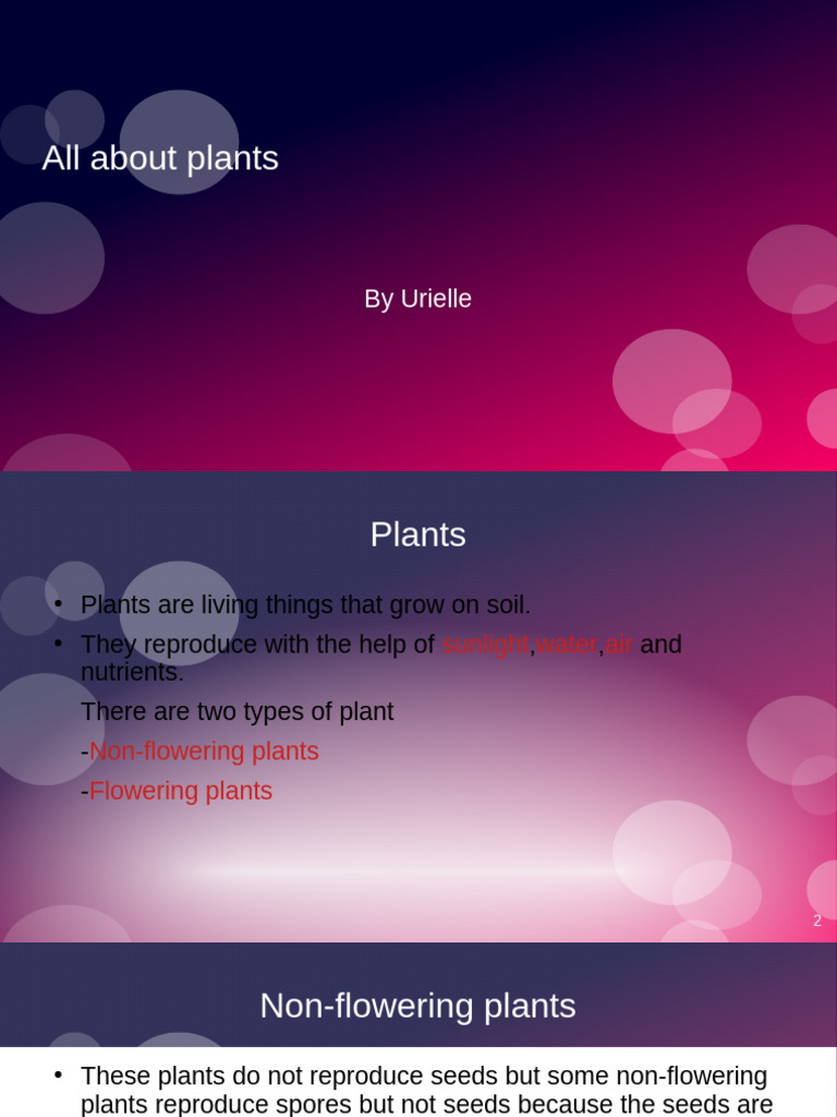 All About Plants | PDF