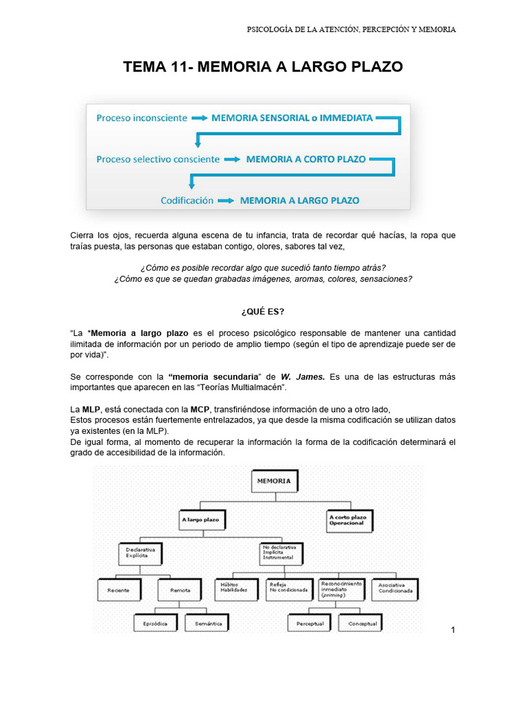 Apm - Tema 11 | PDF | Memoria | Cebado (psicología)