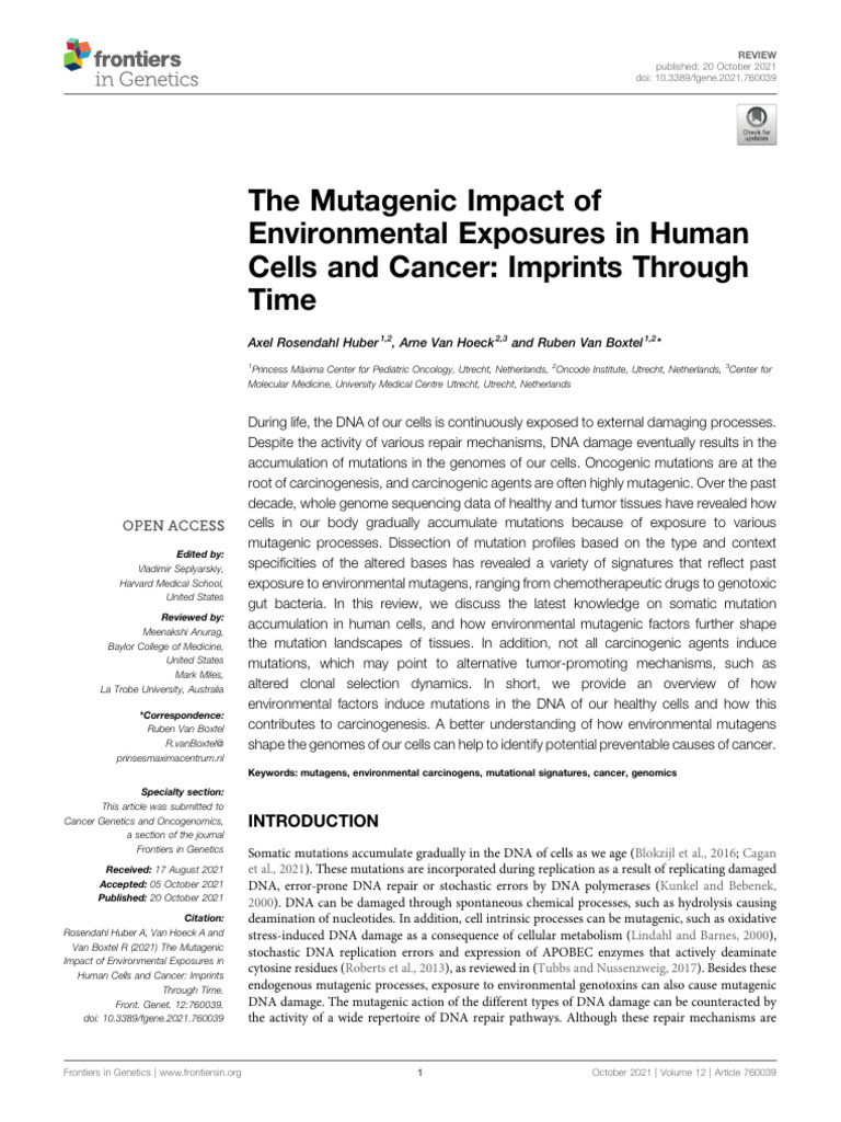 Environmental Mutagens & Cancer | PDF | Dna Repair | Mutation