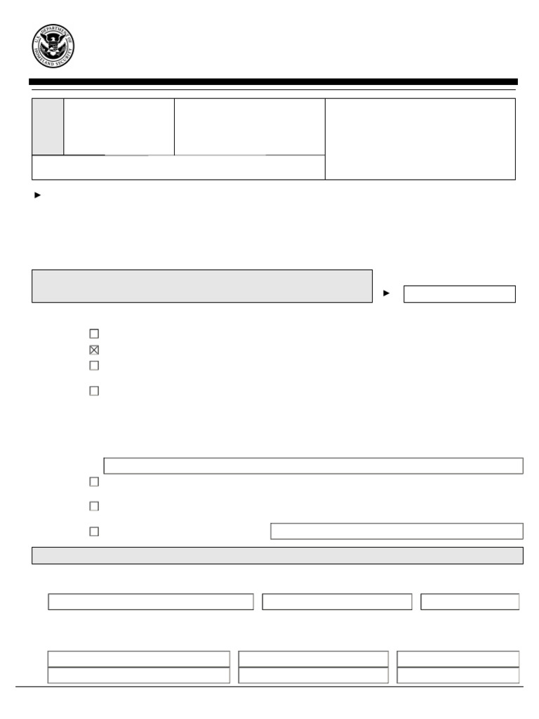 Electronic Form Only: Application For Naturalization | PDF | Race And ...