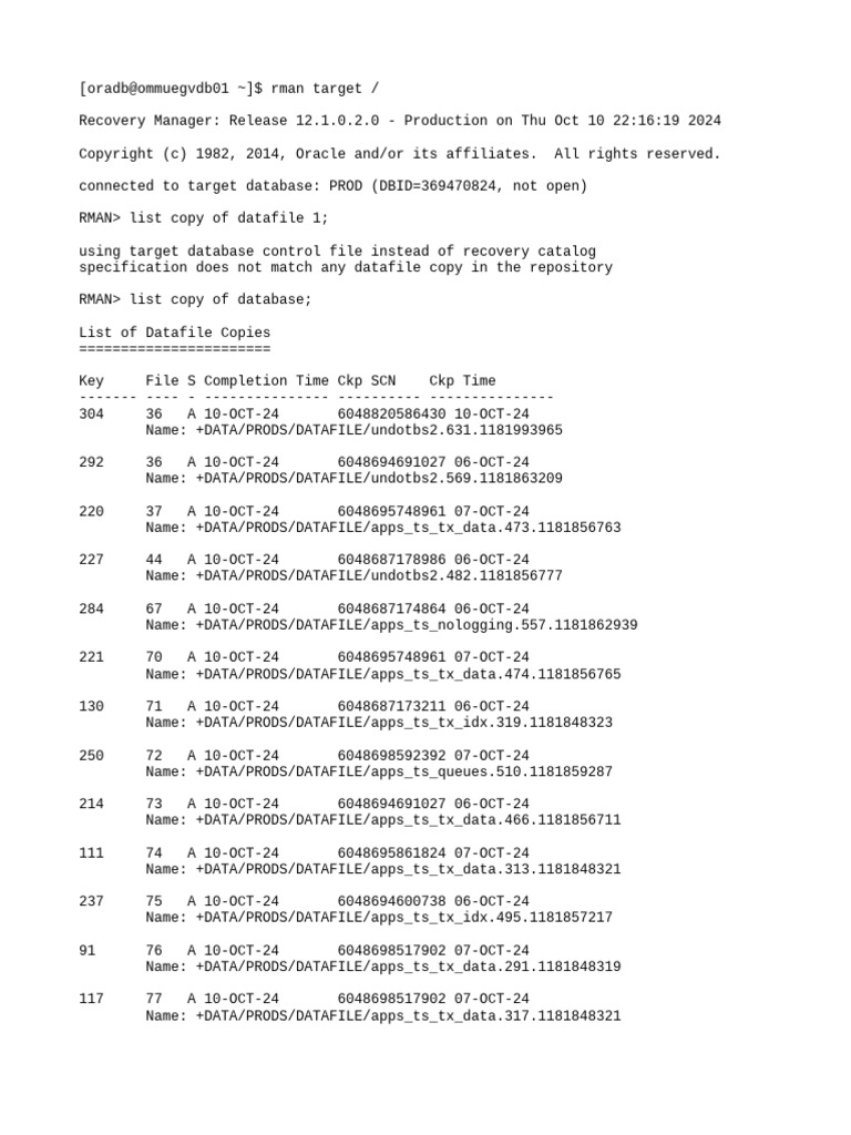 Standby Output | PDF | Data Management | Computing
