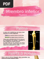 Anatomía del Maléolo Tibial y Astrágalo | PDF | Tobillo | Anatomía del ...