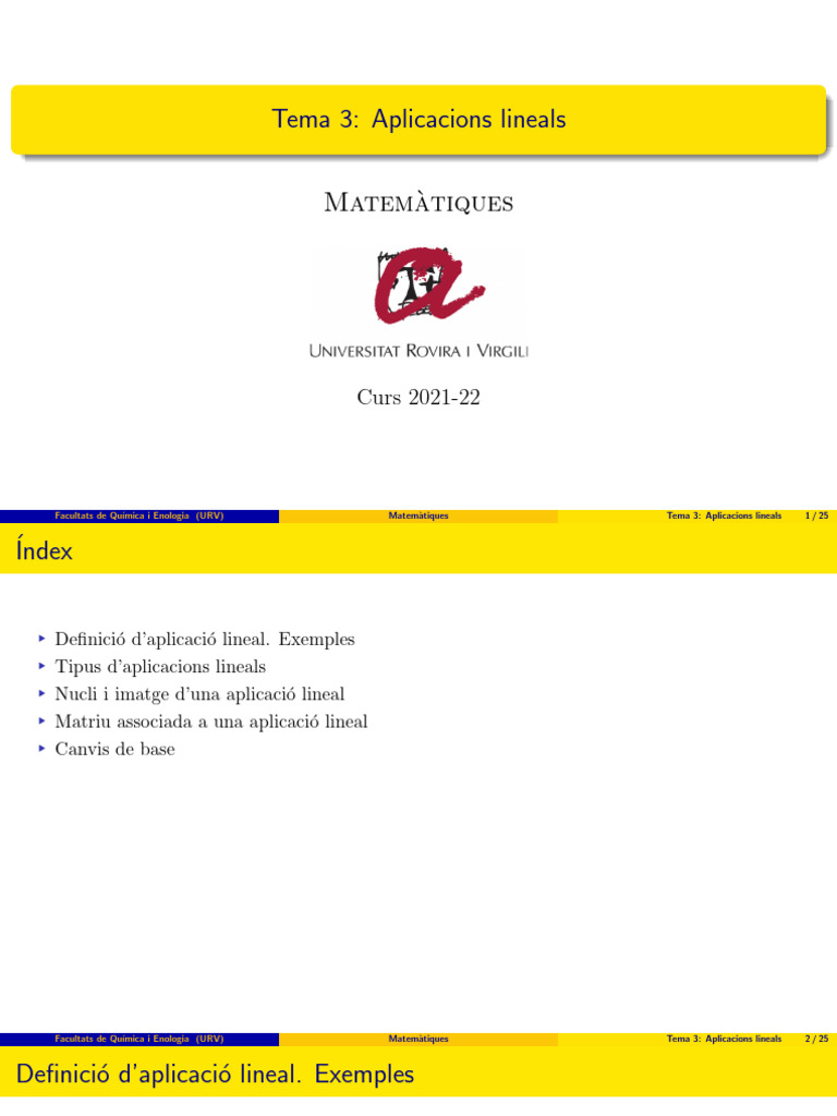 Tema 3 Aplicacions Lineals | PDF