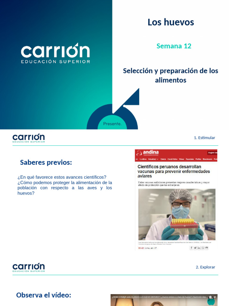 Ppt12 Huevos | PDF | Proteínas | Yema de huevo