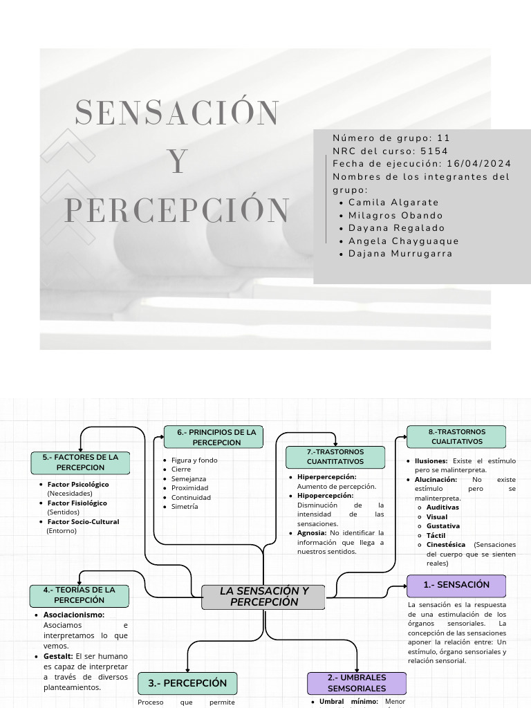 Mapa Conceptual Sobre La Sensación y Percepción | PDF | Percepción | Sentidos
