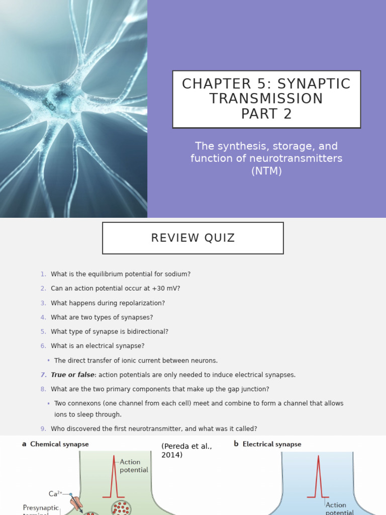 Biological Psychology, Chapter 5, Part 2 - in Person Lecture - Dr. Kuhle | PDF | Chemical ...