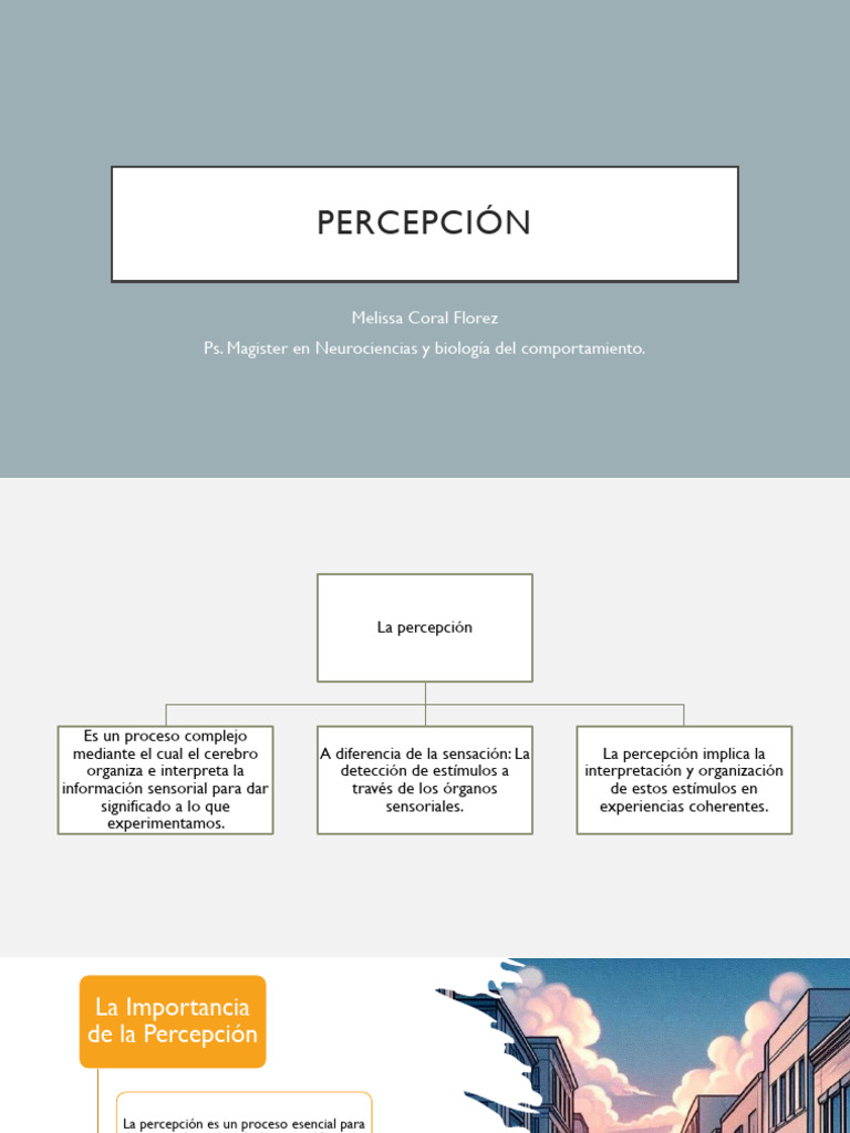 Fundamentos PERCEPCIÓN Completo | PDF | Percepción | Sentidos