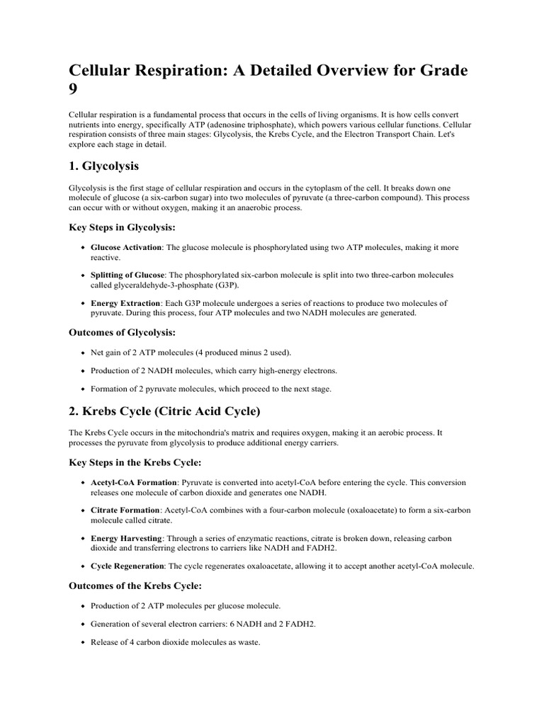 Cellular Respiration - A Detailed Overview For Grade 9 | PDF | Cellular ...