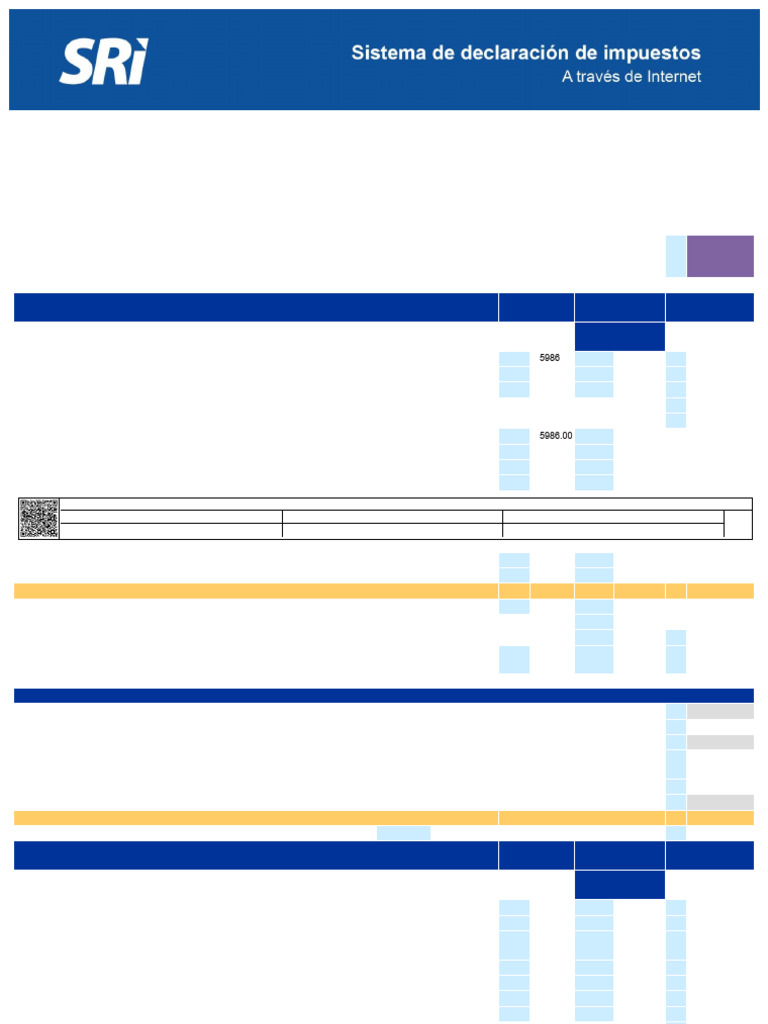 Declaración IVA Semestral 2022 Chamba | PDF | Impuesto al valor ...