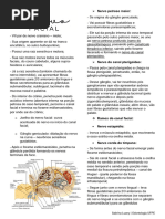 Anatomia dos Nervos Maxilar e Mandibular | PDF | Boca | Sistema nervoso