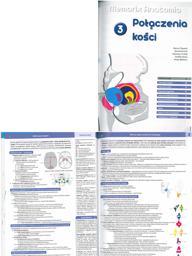 PoÅ Ä Czenia Koå Ci - Anatomia - Memorix (OCR + Zakå Adki) | PDF
