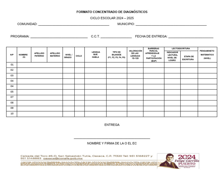 Formato Concentrado de Diagnósticos - 092341 | PDF