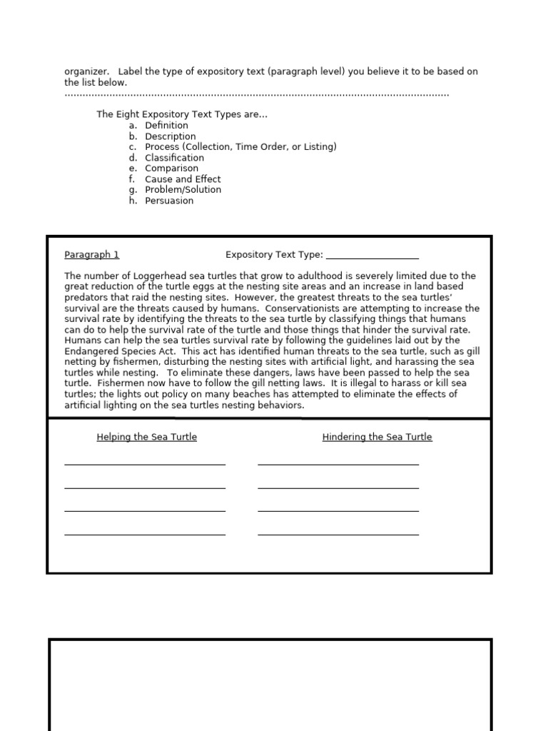 R6 Activity Expository Graphic Organizer | PDF | Sea Turtle | Turtle