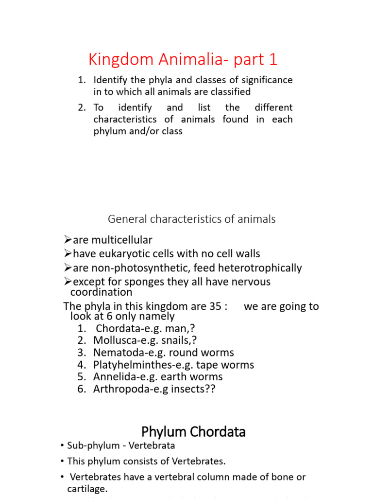 Animal Kingdom: Phyla & Classes | PDF | Insects | Fly