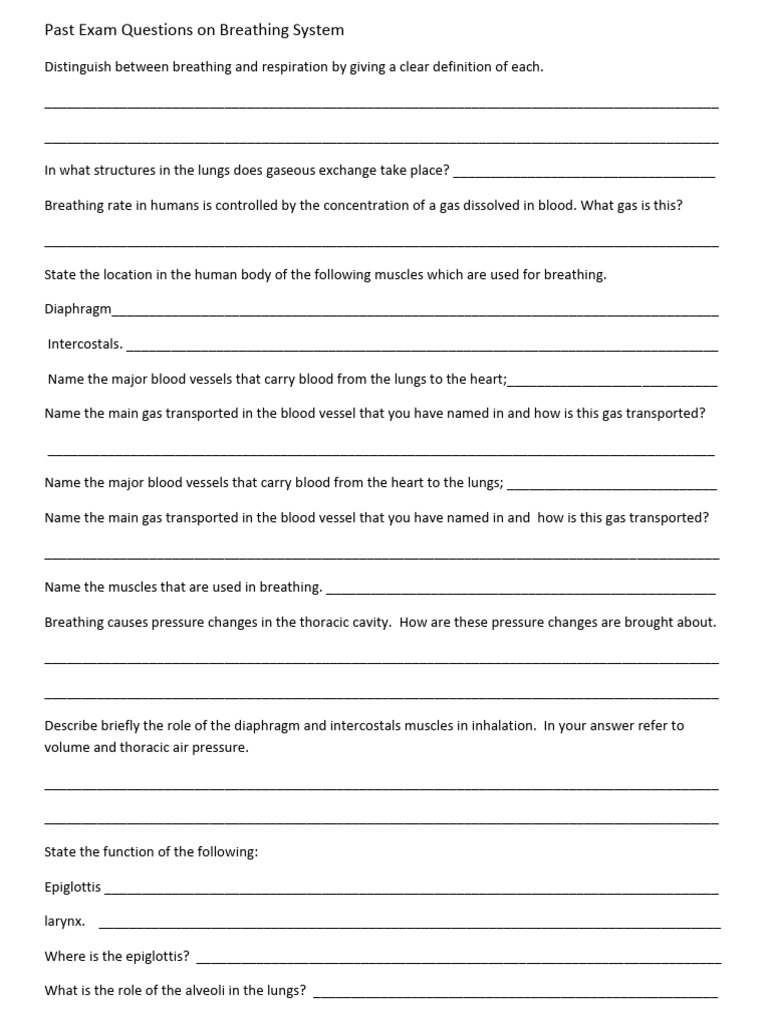 Chapter 35 Worksheet The Breathing System | PDF | Breathing | Lung