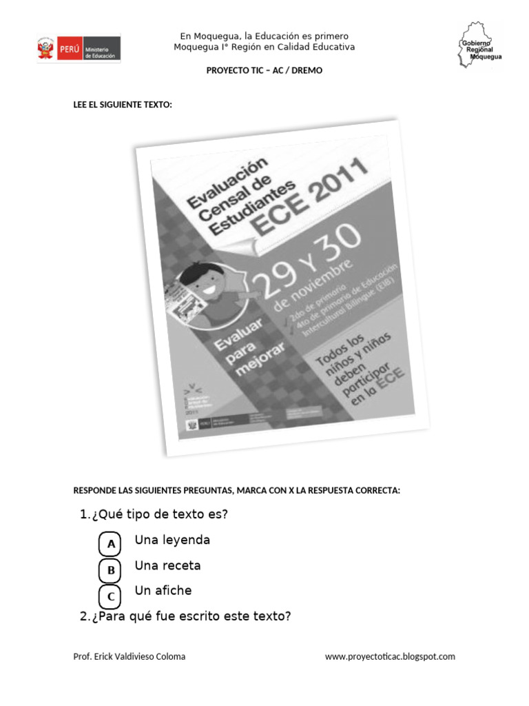Lectura Afiche Ece 2011 | PDF