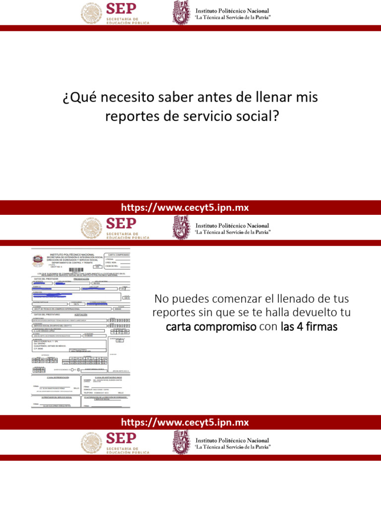 Guía Para Reportes De Servicio Social Pdf