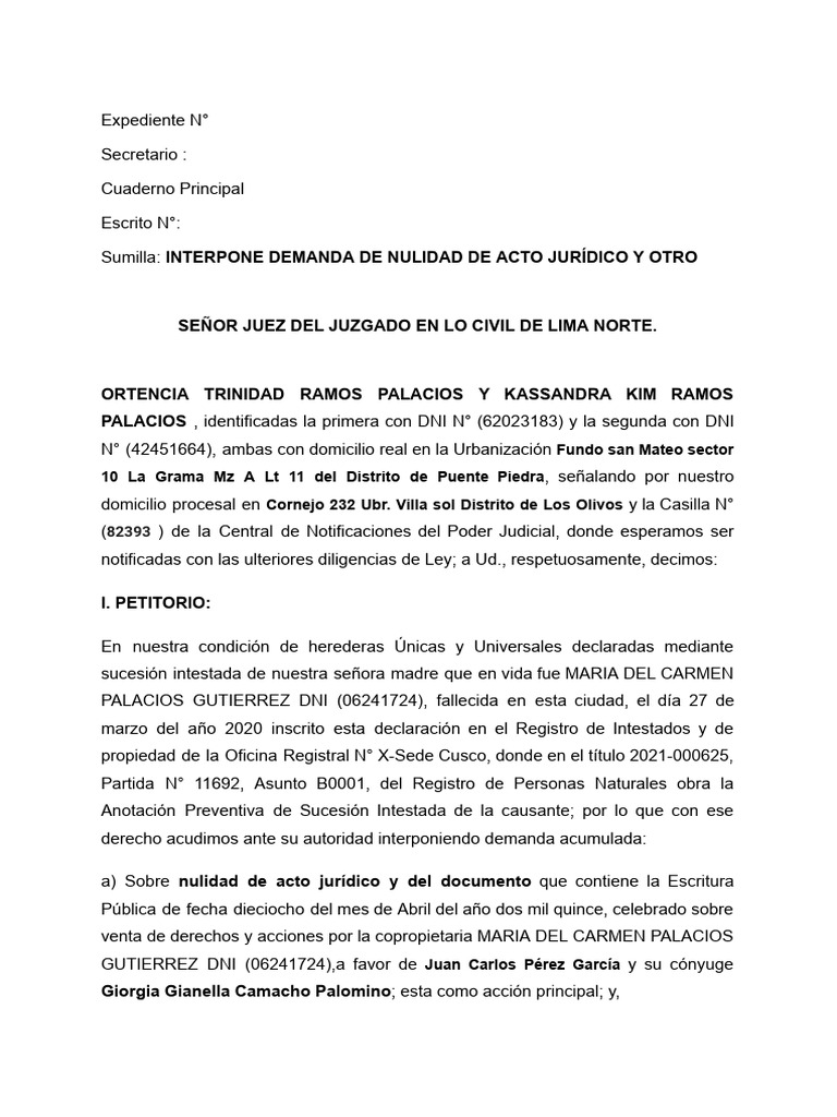 Demanda de Nulidad Del Acto Juridico | PDF | Nulo (ley) | Demanda judicial