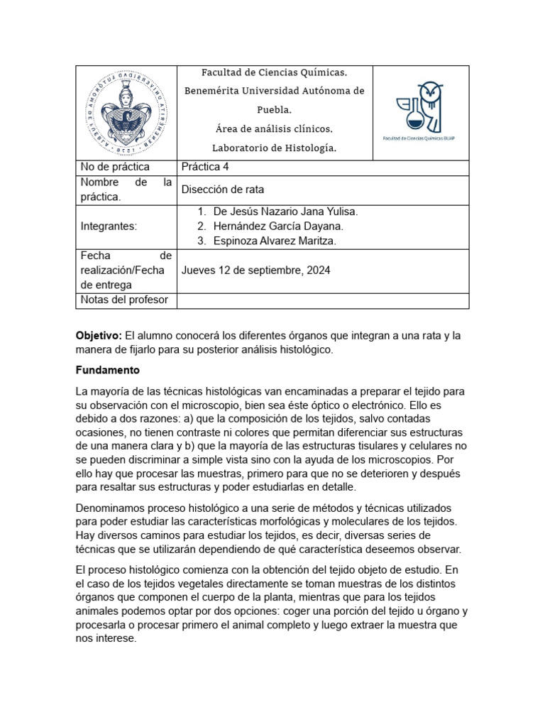 Anatomía de Rata: Disección y Análisis | PDF | Anatomía